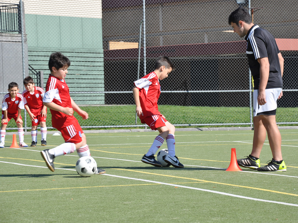 Melbourne Football Soccer Sports Academy